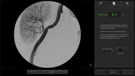 Microvision Professional Microvision Software