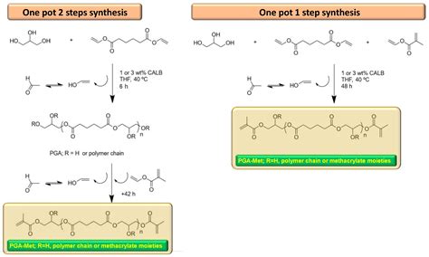Straightforward Enzymatic Methacrylation Of Polyglycerol Adipate For