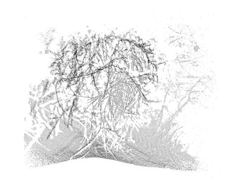 3d Point Cloud Capture With Kinect — Greg Niemeyer