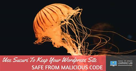 How To Keep Your Wordpress Site Safe From Malicious Code
