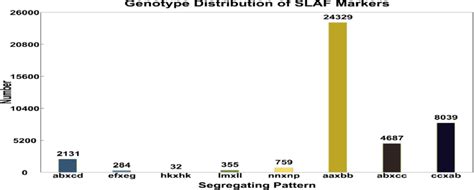 Segregation Pattern Of Polymorphic Slaf Markers For F 1 Interspecific