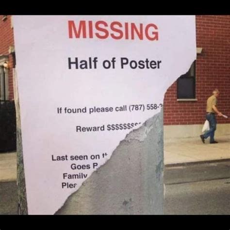 Missing Album On Imgur