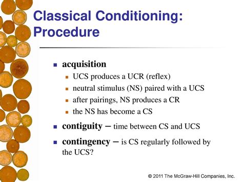 Chapter 6 Learning Ppt Download