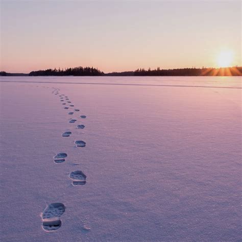 Have You Ever Considered The Significance Of Every Step On Your