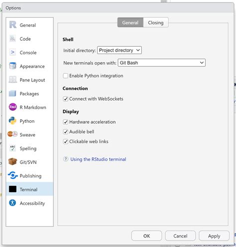 Gitterminal Uses Different Home Environment Variable Than R Console Or