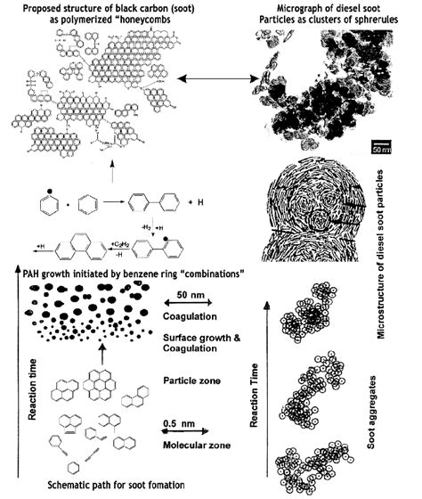 X1 Schematic Presentation Of Soot Aggregates Coagulation Of