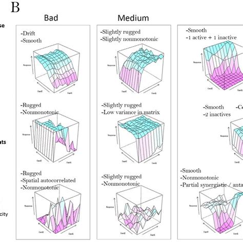 A Schematic Workflow Summarizing The Steps Involved In Selecting The