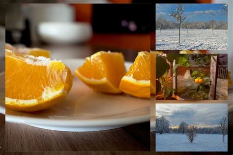 orange data mining on linkedin medicine datascience dataanalytics