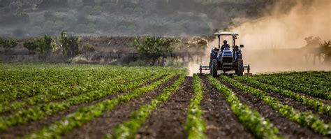 Sex Workers Law And M Ocean Apc