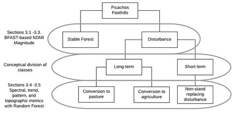 Forests Free Full Text Detecting And Attributing Drivers Of Forest Disturbance In The