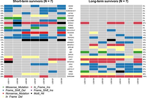 Gene Mutations That Preferentially Occurred In Low Grade Ovarian Serous