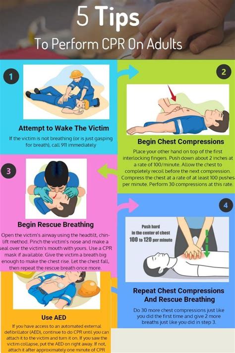 How To Perform Cpr Guidelines Procedure And Ratio Artofit