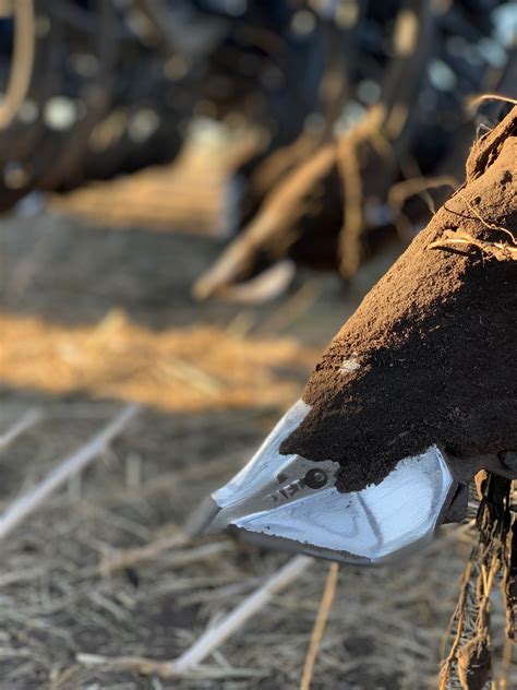 Soybean Fertility Alberta Pulse Growers