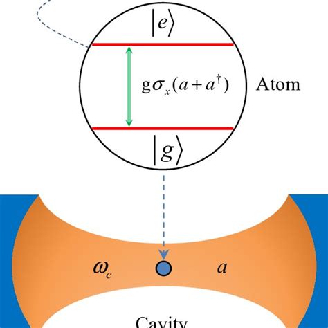 Color Online Schematic Of The Quantum Rabi Model A Quantum Two Level