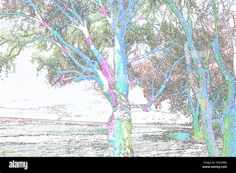 Abstract Trees Aerial View Color Image Daytime Exterior Featured Horizontal Many Photoshopped