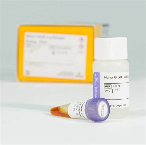 Hpv Human Papilloma Virus Hpv Recombinant Hpv E7 His Tag From E Coli Proteins And Peptides