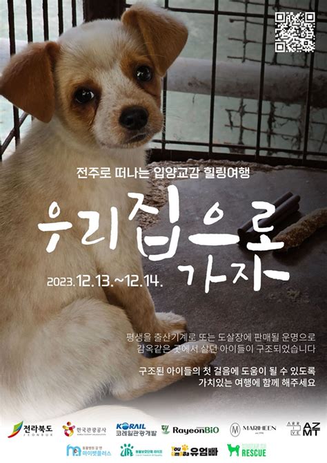 전북도 전주로 떠나는 입양교감 힐링여행 진행