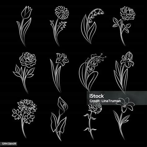 윤곽이 그려진 꽃 컬렉션 튤립 카모마일 계곡의 백합 장미 모란 나르시소스 난초 홍채 국화 칼라 카네이션 및 백합 스케치 손으로 그린 스타일 벡터 일러스트레이션 꽃 식물에