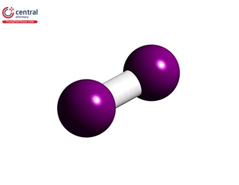 Iod tham gia tạo thành hormon tuyến giáp và có vai trò quan trọng cho sự phát triển não bộ cơ thể
