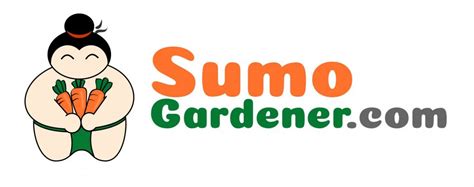 Quackgrass Vs Crabgrass The Difference Between And How To Identify