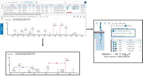 Peaks Ptm Ptm Identification Ptm Profiling Bioinformatics