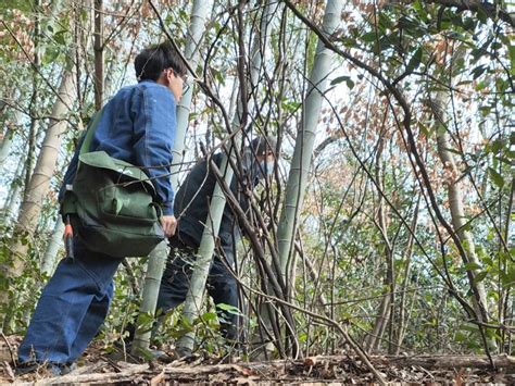 华东冶金地质勘查局综合地质大队