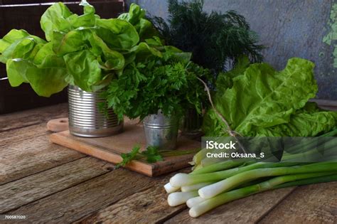 녹색 허브와 채소의 구성입니다 유기 봄 갈색 나무 바탕에 샐러드 믹스 양파 상 추 파 슬 리 파 딜 차드 건강한 생활방식에 대한 스톡 사진 및 기타 이미지 Istock