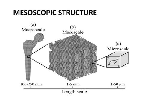 Mesoscopic Structurepptx