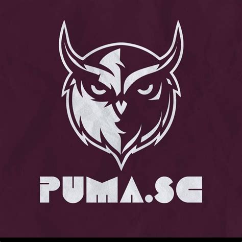 أكاديمية بوما سبورت