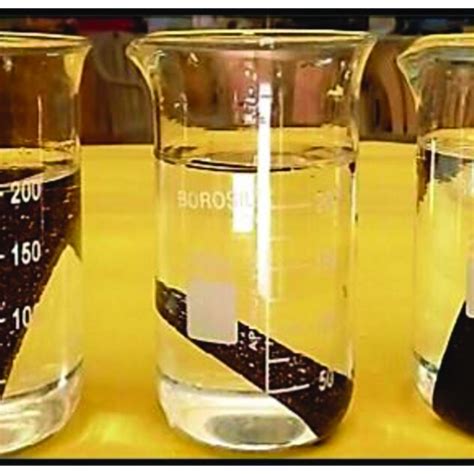Photographic Image Of Water Absorption Behaviour Experiment Download