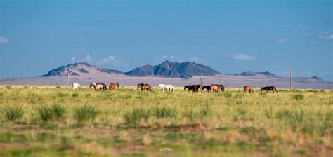 ЗАВХАН СУМЫН НЭГДСЭН ГРУПП