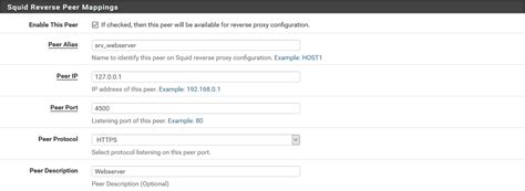 Pfsense Squid Haproxy Und Url Rewrite Blogvcloud24ch