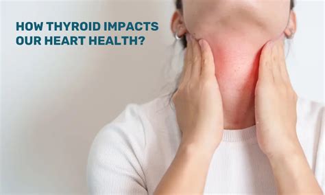 How Thyroid Impacts Our Heart Health Healthstory