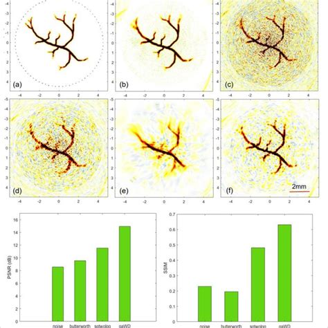 A The Initial Pressure And Sensor Distribution In K Wave Simulation Download Scientific