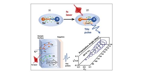 Coherent Elliptically Polarized Terahertz Wave Generation In Wse2 By Linearly Polarized