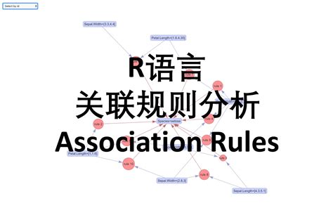 R语言 关联规则分析 Association Rules哔哩哔哩bilibili