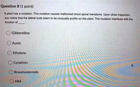 Solved Question 8 1 Point A Plant Has Mutation This Mutation Causes