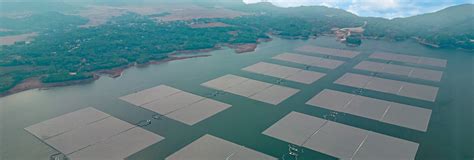 Masdar Cirata Floating Solar Photovoltaic Fpv Plant