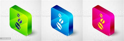 회색 배경에 격리 된 등색 커피 콩 아이콘 정사각형 버튼입니다 벡터 0명에 대한 스톡 벡터 아트 및 기타 이미지 0명 3차원 형태 갈색 Istock