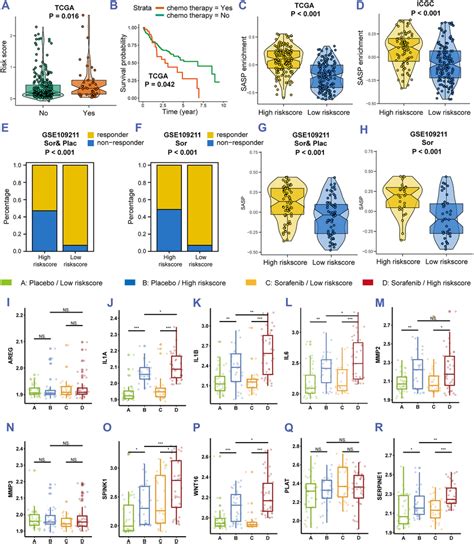 The Risk Score Predicts The Sasp Generated By Chemotherapy