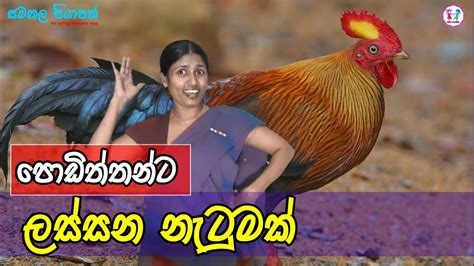 Pera Pasal Natum පෙරපාසල් නැටුම් Perapasal Padam ඇහැල මලින් ගස් පිරිලා Youtube