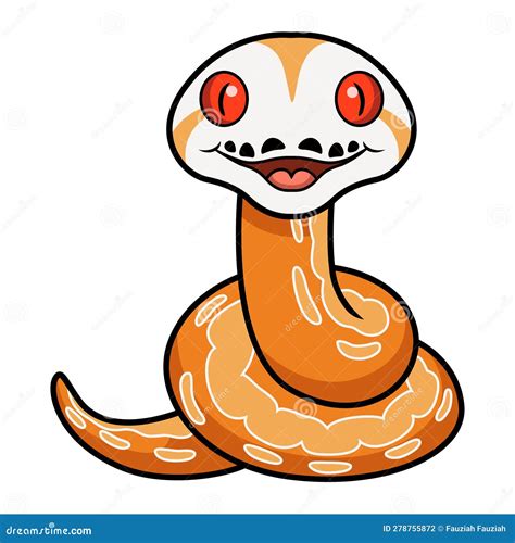 Cute Albino Sunfire Tiger Het Genetic Stripe Reticulated Python Stock