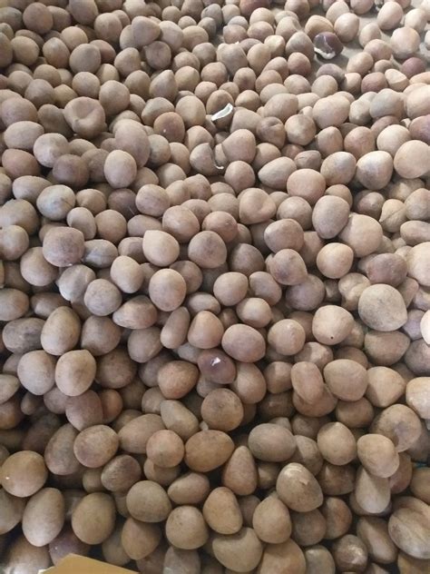 Srp Coconut Ball Copra 100 Natural Packaging Size 15 Kg At ₹ 285 Kg In Mettur