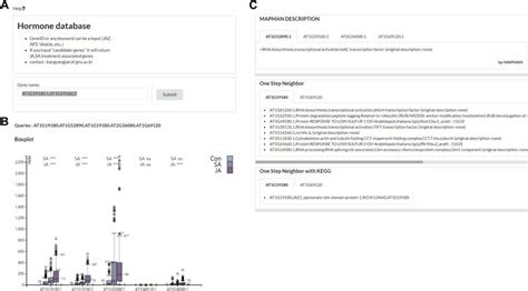 User Interface Of Our Web Application A Gene Query Input Panel B