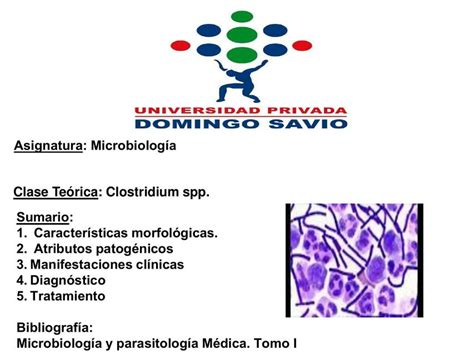 Genero Clostridium Manuel Vega Udocz