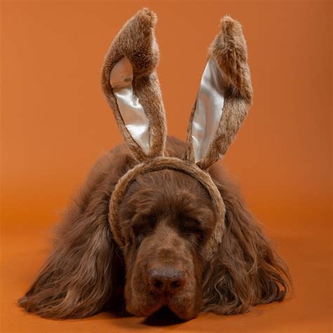 Sandy Middlebrook Added A New Photo Sandy Middlebrook