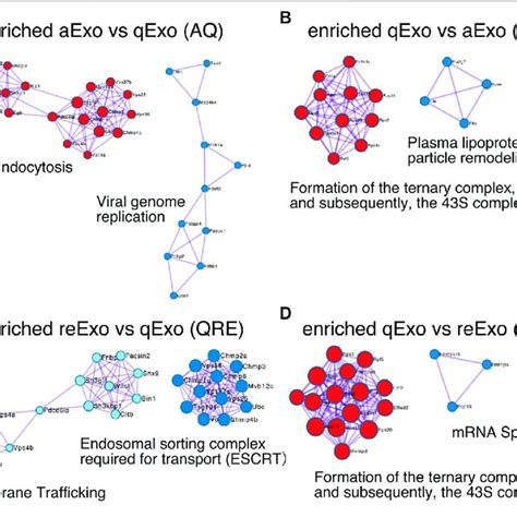 Molecular Complex Detection Networks Among Enriched Proteins Download Scientific Diagram