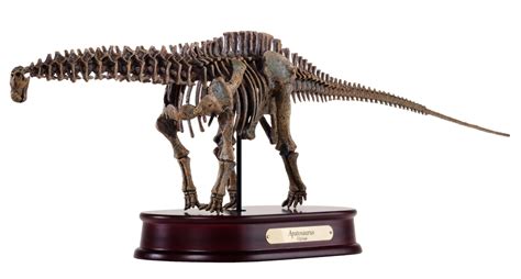 Apatosaurus Skeleton Model Dinostoreus