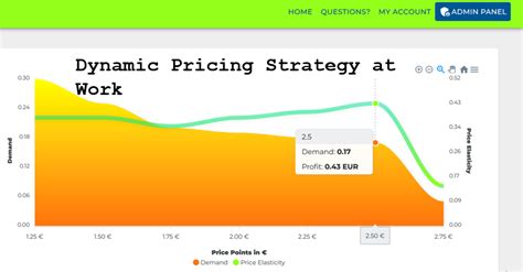 Dynamic Pricing Strategies