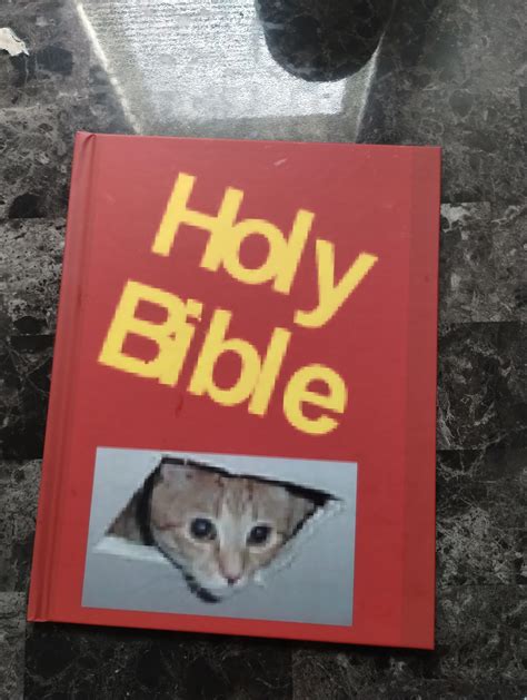 Lolcat Bible